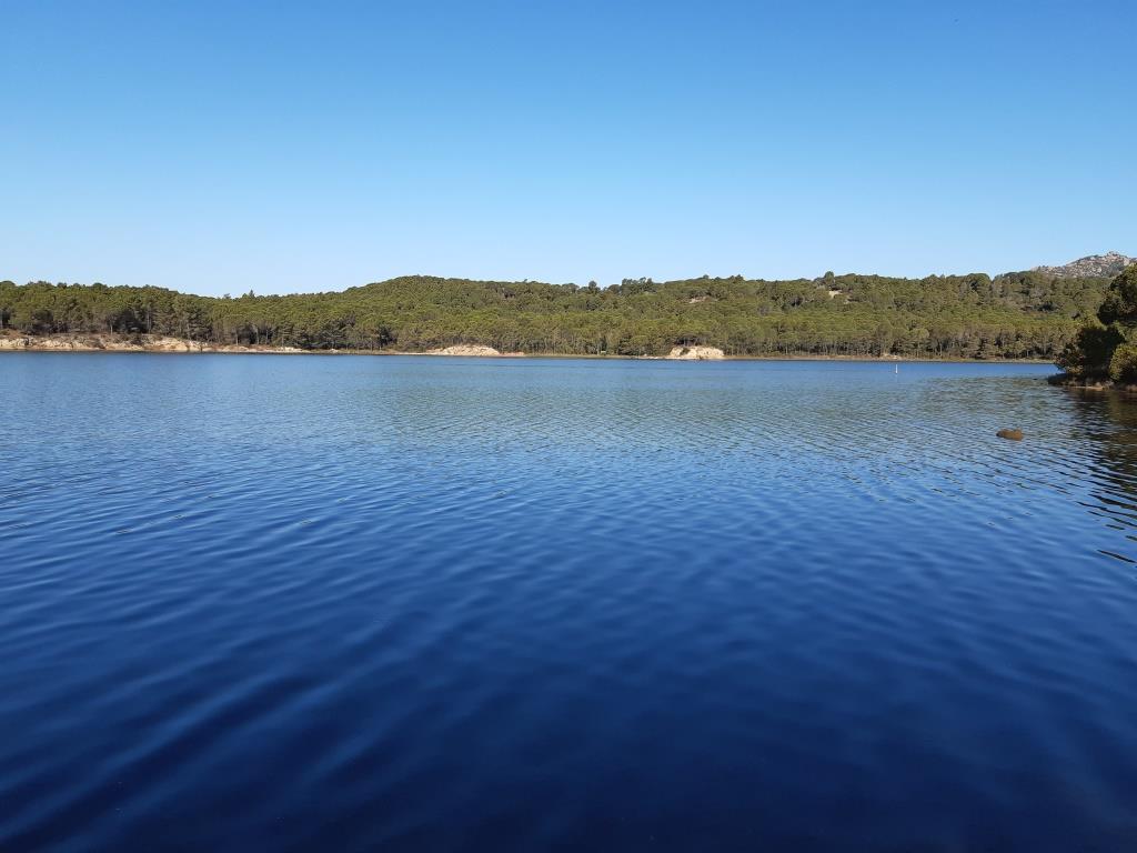 Esplorare l’Oasi Biderosa e lo Stagno Sa Curcurica in kayak – mondi ...